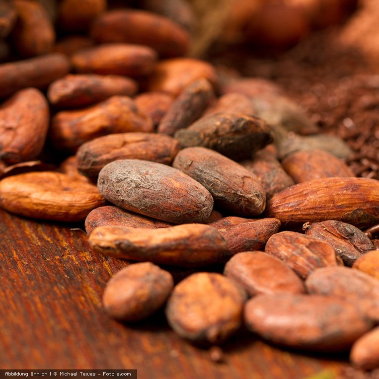 Rohe Bio-Kakaomasse von Keimling Naturkost
